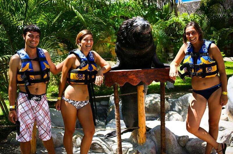 Puerto Vallarta: Sea Lion Discovery at Aquaventuras Park - What to Expect During Your Sea Lion Encounter