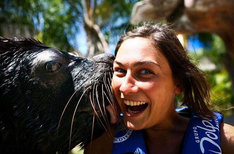 Puerto Vallarta: Sea Lion Discovery at Aquaventuras Park - Photos and Practical Details