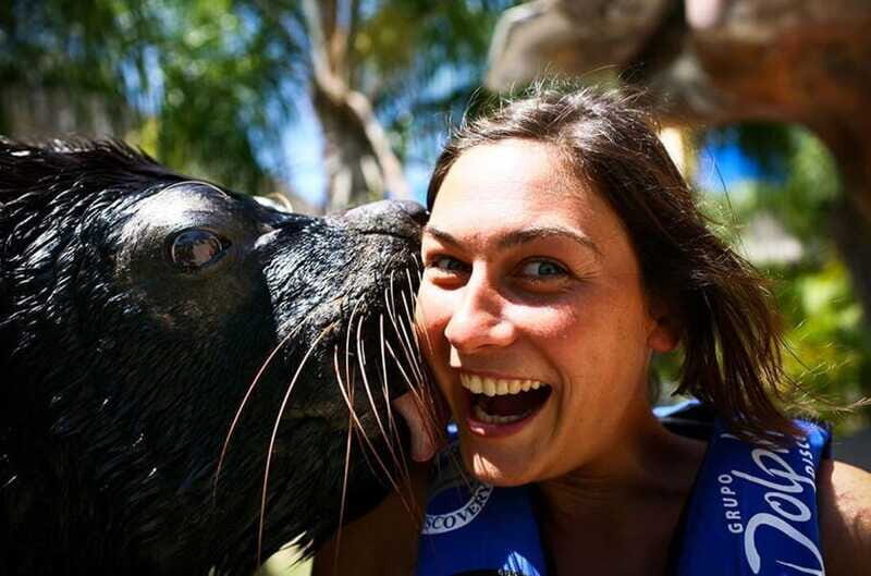 Puerto Vallarta: Sea Lion Discovery at Aquaventuras Park - About the Experience Provider