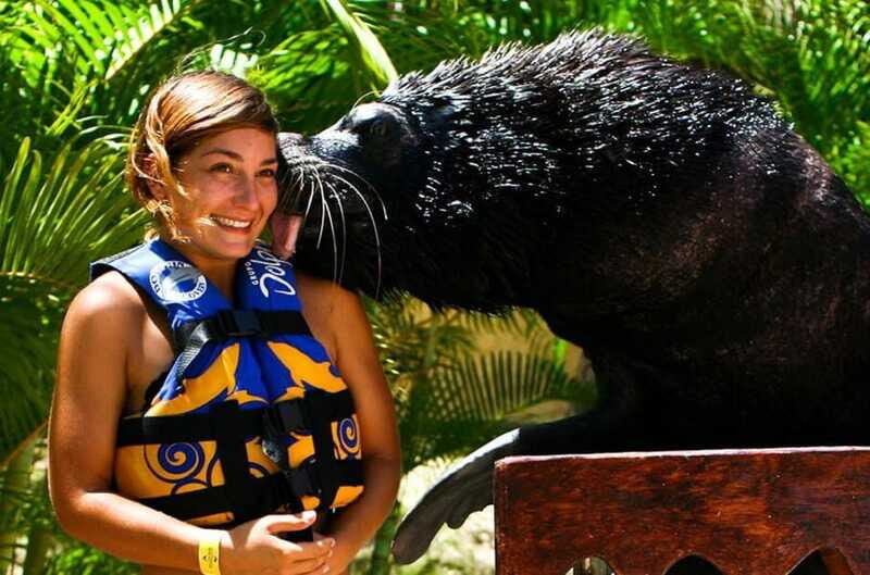 Puerto Vallarta: Sea Lion Discovery at Aquaventuras Park - Who Will Love This Experience?