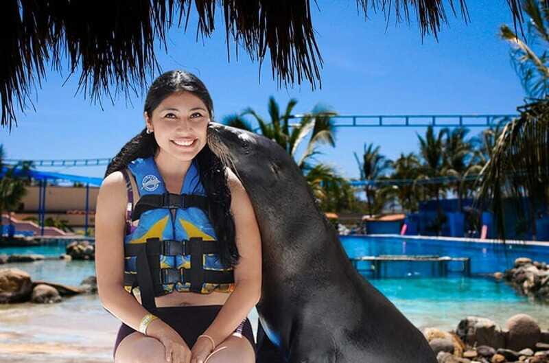 Puerto Vallarta: Sea Lion Discovery at Aquaventuras Park - The Sum Up