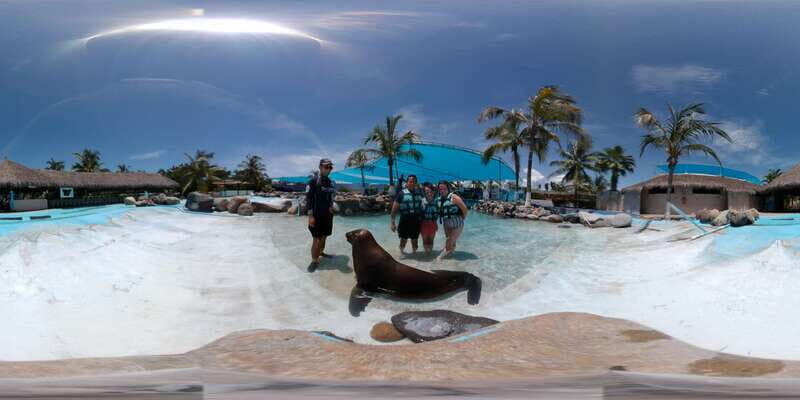 Puerto Vallarta: Sea Lion Discovery - Discovering the Experience: What to Expect