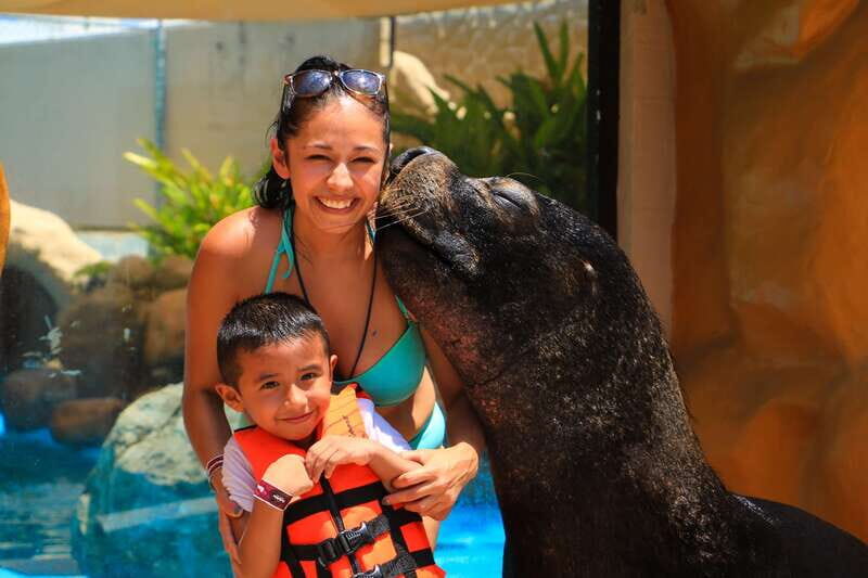 Puerto Vallarta: Sea Lion Discovery - Authentic Experiences and Traveler Insights