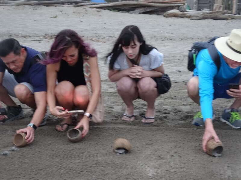 Puerto Vallarta: Sea turtle release at Sunset - Authentic Feedback from Participants