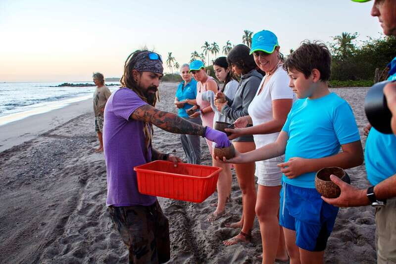 Puerto Vallarta: Sea turtle release at Sunset - How Does the Tour Stack Up in Terms of Value?