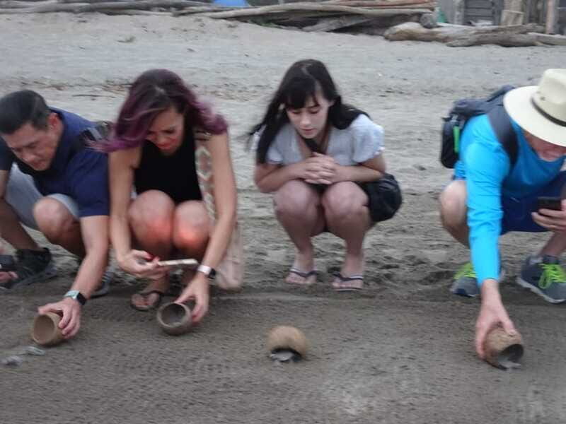 Puerto Vallarta: Sea turtle release at Sunset - Who Will Love This Tour?