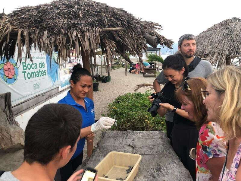 Puerto Vallarta: Sea turtle release at Sunset - Final Thoughts