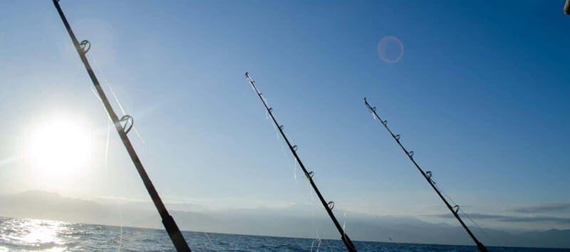 Puerto Vallarta: Shared Fishing - Puerto Vallarta: Shared Fishing