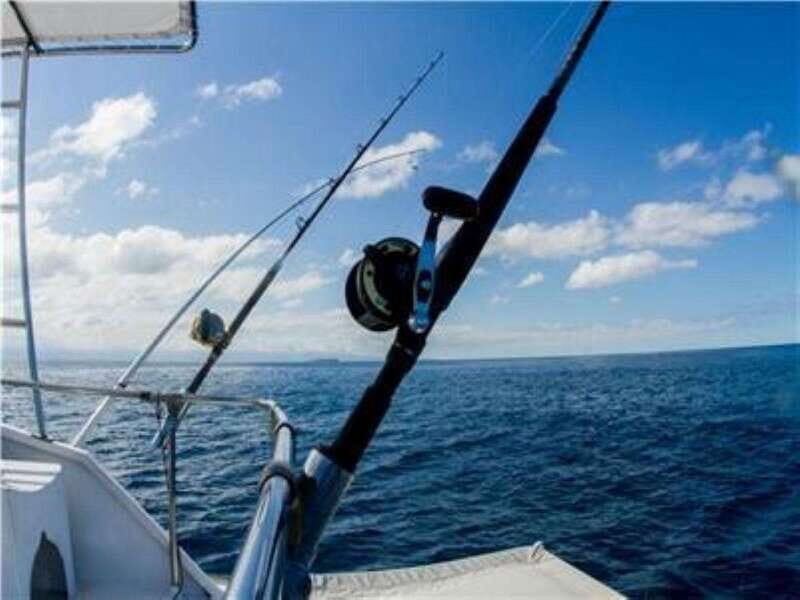 Puerto Vallarta: Shared Fishing - Who Will Love This Tour
