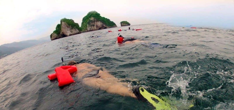 Puerto Vallarta: Snorkel Adventure at Los Arcos - Detailed Breakdown of the Tour