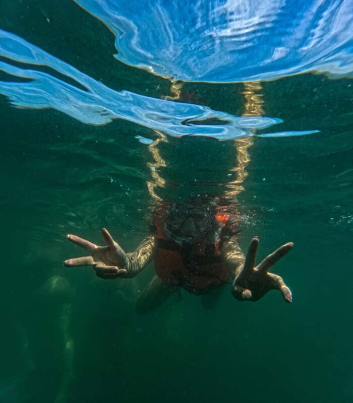 Puerto Vallarta: Snorkel in Colomitos Beaches & Canopy Tour - In The Sum Up