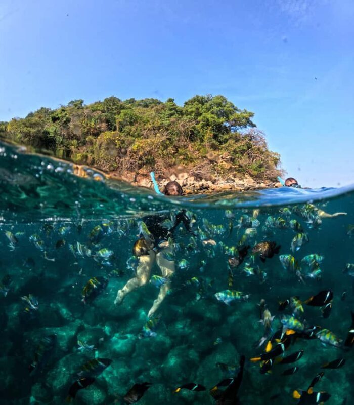 Puerto Vallarta: Snorkel With Tropical Fishes & Canopy Tour - Practical Details That Matter