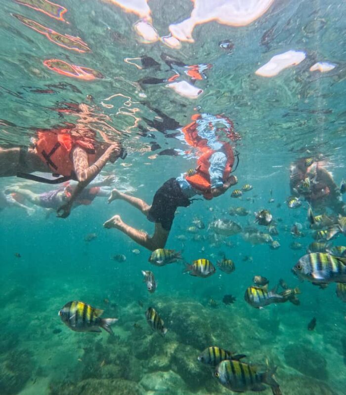 Puerto Vallarta: Snorkel With Tropical Fishes & Canopy Tour - What Travelers Say