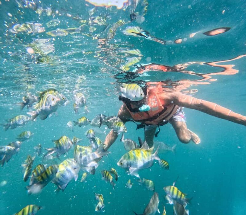 Puerto Vallarta: Snorkel With Tropical Fishes & Canopy Tour - Final Thoughts: Is This Tour Right for You?