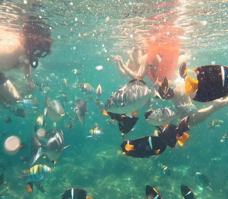 Puerto Vallarta: Snorkel y tour de 2 hrs en bote a Los Arcos - Who Will Love This Tour?