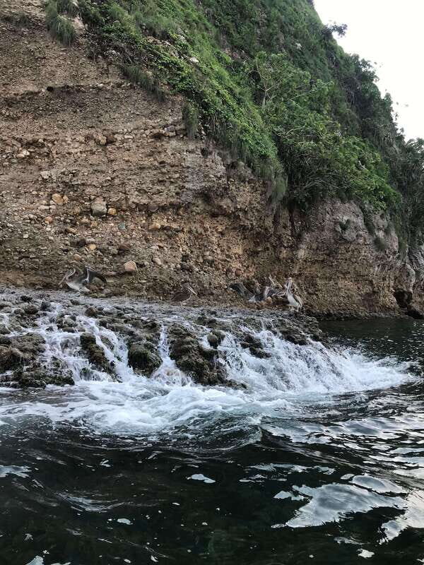 Puerto Vallarta: Snorkeling Tour to Los Arcos de Mismaloya - The Experience: What Past Travelers Say