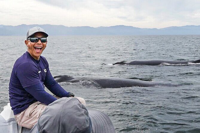 Puerto Vallarta Speedboat and Box Lunch Whale Tour - The Practical Side: Booking, Pricing, and Safety