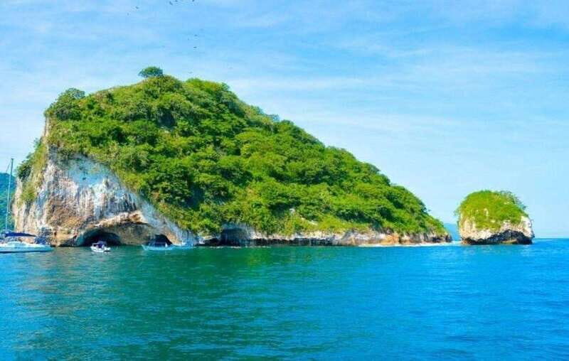 Puerto Vallarta: The Predator of the Sea - What’s Included and What’s Not?