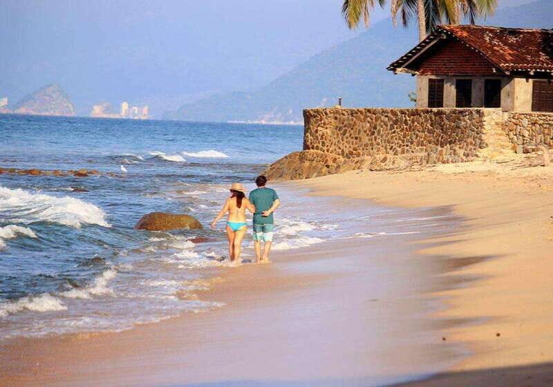 Puerto Vallarta: The Predator of the Sea - Authenticity and Unique Value