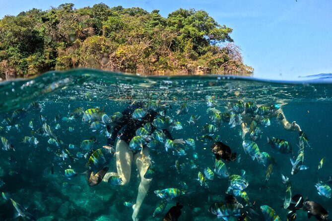 Puerto Vallarta: Tropical Fish Snorkeling and Zipline Tour - An In-Depth Look at the Tour Experience