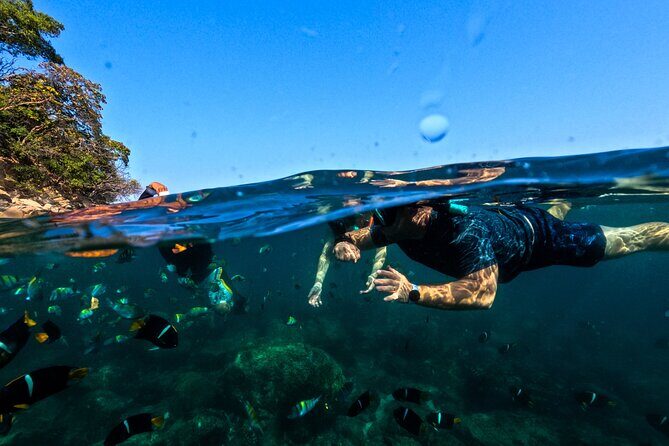 Puerto Vallarta: Tropical Fish Snorkeling and Zipline Tour - Who Would Love This Tour?