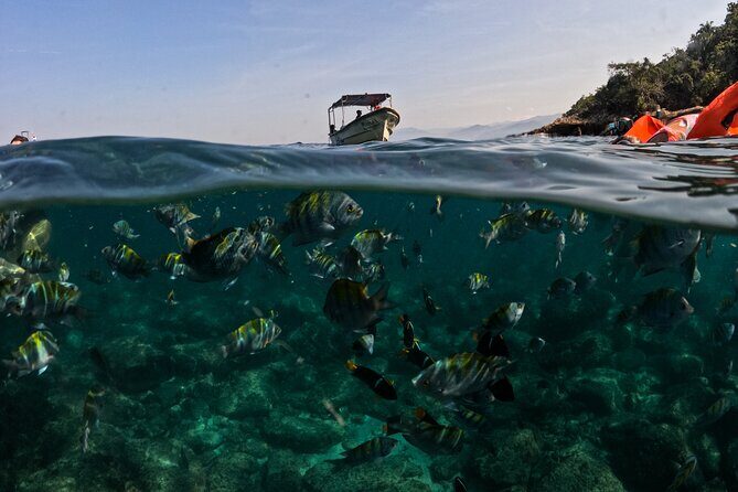 Puerto Vallarta: Tropical Fish Snorkeling and Zipline Tour - Final Thoughts