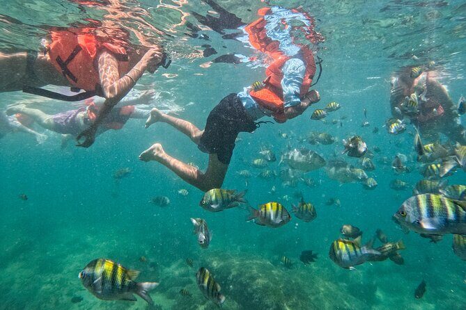 Puerto Vallarta: Tropical Fish Snorkeling and Zipline Tour - About Who It’s Best For