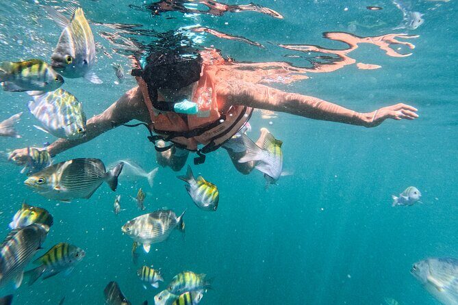 Puerto Vallarta: Tropical Fish Snorkeling and Zipline Tour - FAQ