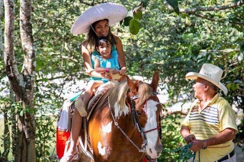 Puerto Vallarta: Tropical Tour - The Practical Details
