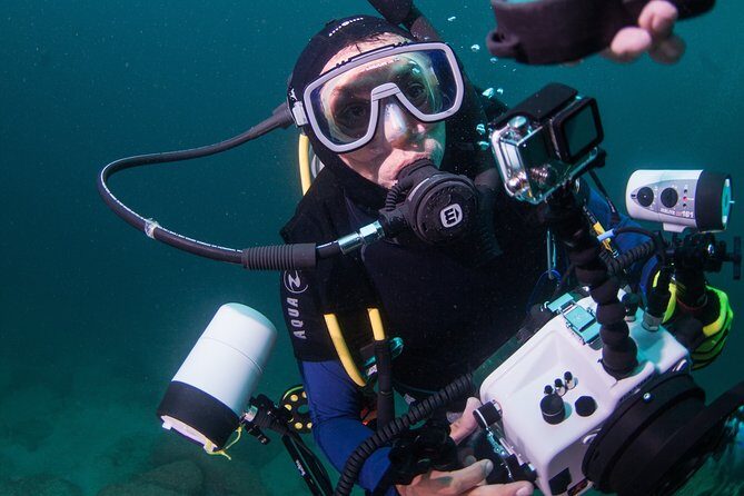 Puerto Vallarta Undersea Private Scuba Diving - A Closer Look at the Itinerary and Highlights