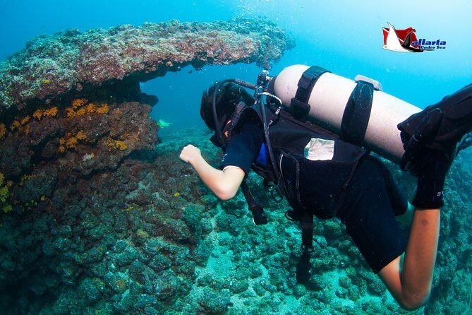 Puerto Vallarta Undersea Private Scuba Diving - What’s Included and What’s Not?