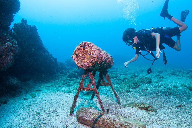 Puerto Vallarta Undersea Private Scuba Diving - Authentic Reviews and What Travelers Say