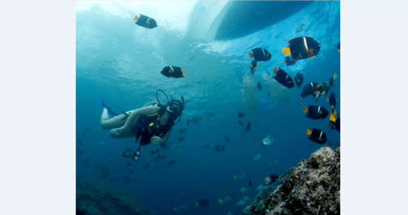 Puerto Vallarta: Underwater Wonderland at Los Arcos - Exploring Los Arcos: An Underwater Paradise