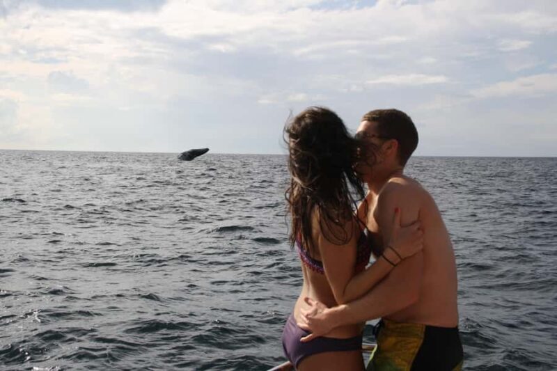 Puerto Vallarta: Whale Watching All Inclusive Experience - The Value of This Tour
