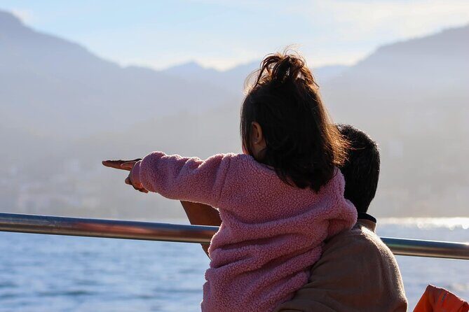 Puerto Vallarta Whale Watching Tour - An In-Depth Look at the Puerto Vallarta Whale Watching Tour