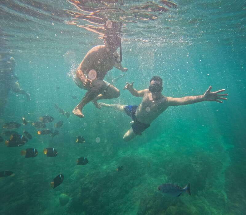 Puerto Vallarta: Zipline Tour, Snorkel & Secret Beach Escape - Puerto Vallarta: Zipline Tour, Snorkel & Secret Beach Escape