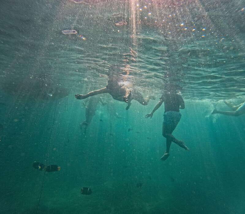 Puerto Vallarta: Zipline Tour, Snorkel & Secret Beach Escape - FAQ