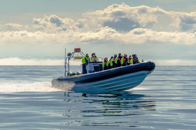 Puffin Watching Speedboat Express - The Details: What You Can Expect from the Puffin Watching Speedboat Express