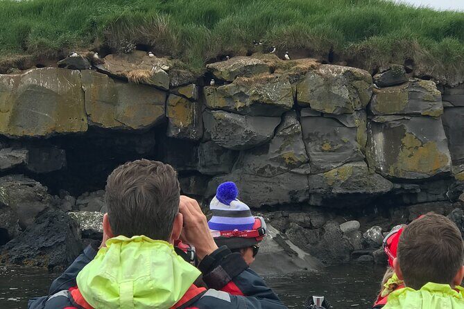 Puffin Watching Speedboat Express - A Closer Look at the Experience