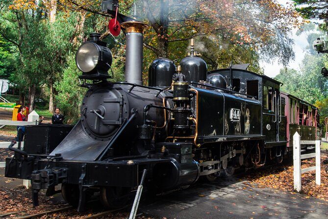 Puffing Billy And Healesville Sanctuary Scenic Tour - The Authentic Touches That Shine