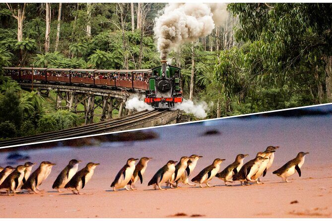 Puffing Billy and Penguin Parade Day Tour From Melbourne - Key Points