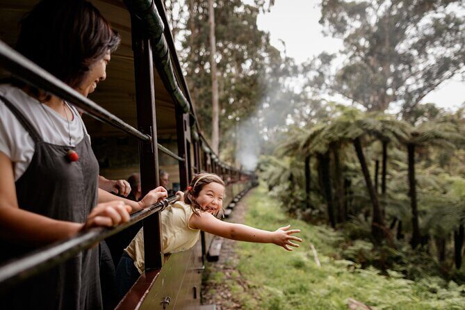 Puffing Billy, Forest Trails and Yarra Valley Discovery Tour - The Itinerary in Detail
