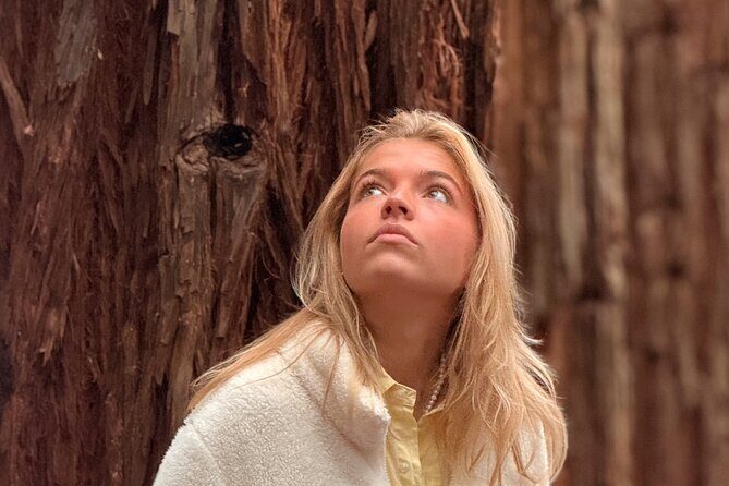 Puffing Billy, Forest Trails and Yarra Valley Discovery Tour - Who Would Love This Tour?