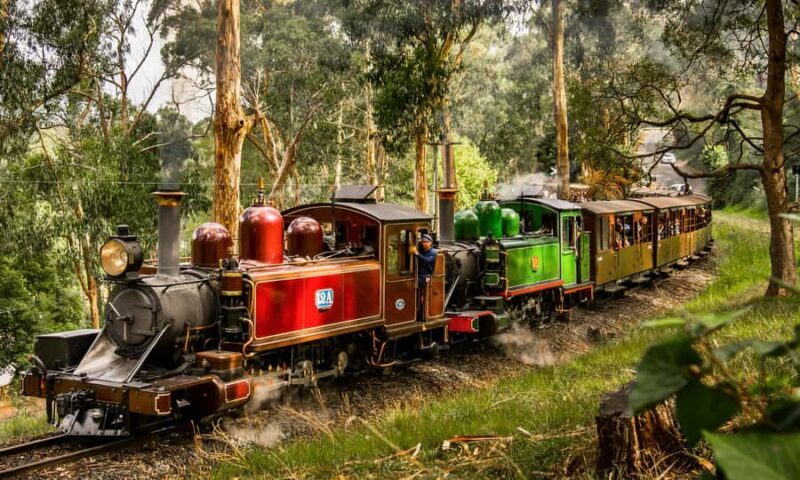 Puffing Billy, Forest Trails & Yarra Valley Discovery Tour - What Makes This Tour Stand Out