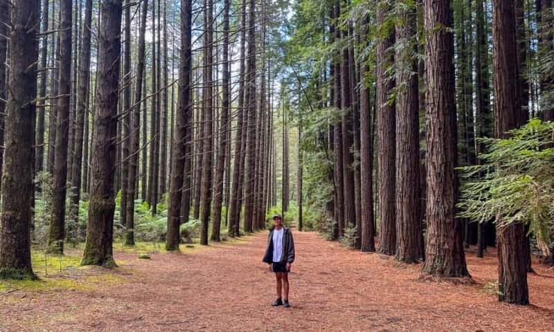 Puffing Billy, Forest Trails & Yarra Valley Discovery Tour - Who Will Love This Tour?