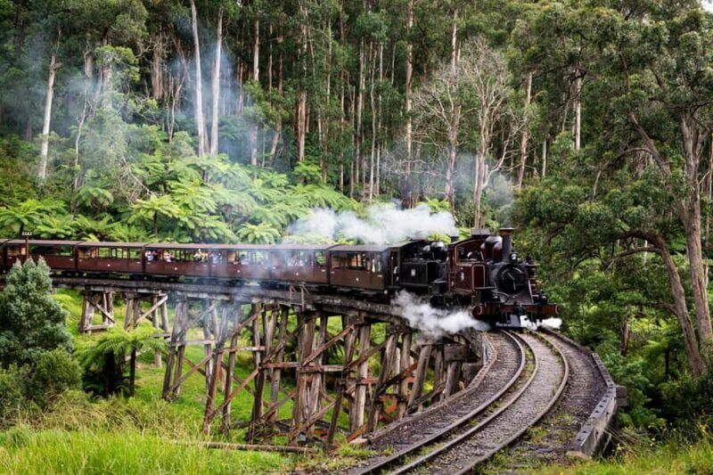 Puffing Billy, Healesville Sanctuary & Chocolatier - Key Points