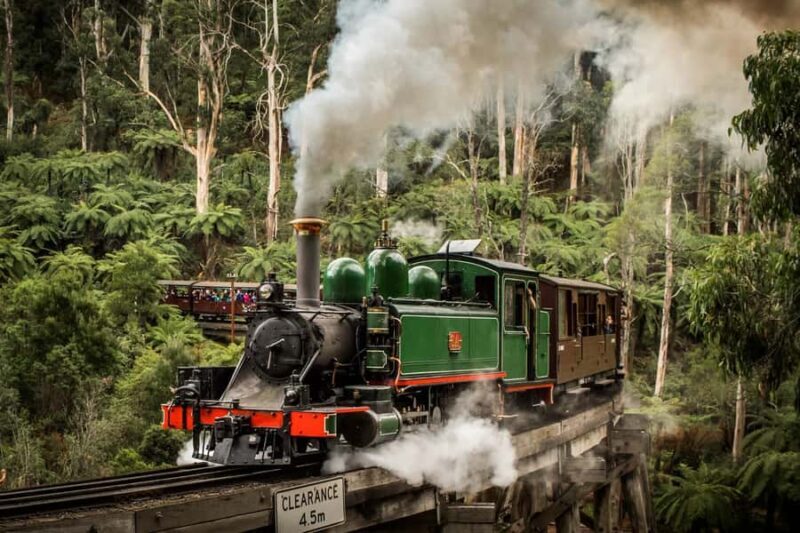 Puffing Billy Penguin Parade Mercedes Minibus Hotel Pickup - Key Points