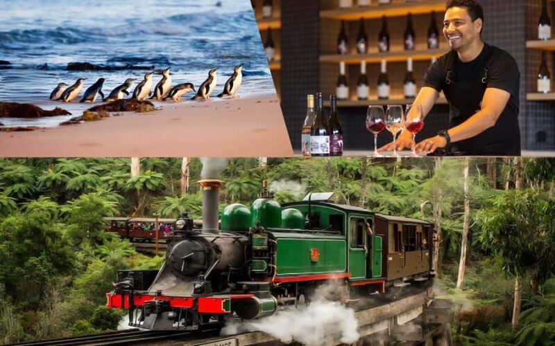 Puffing Billy Penguin Parade Mercedes Minibus Hotel Pickup - Analyzing the Value