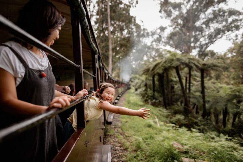 Puffing Billy Railway: Heritage Steam Train Journey - Key Points