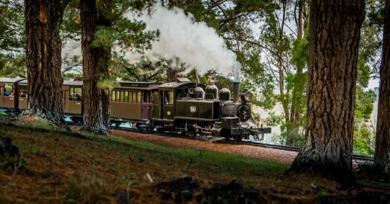 Puffing Billy Railway: Heritage Steam Train Journey - An Introduction to Puffing Billy